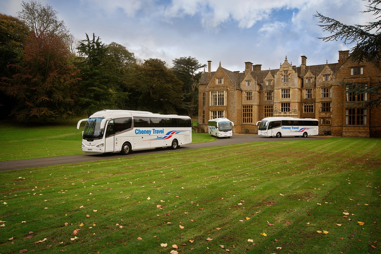 Hiring an Executive Coach for Wedding Guests